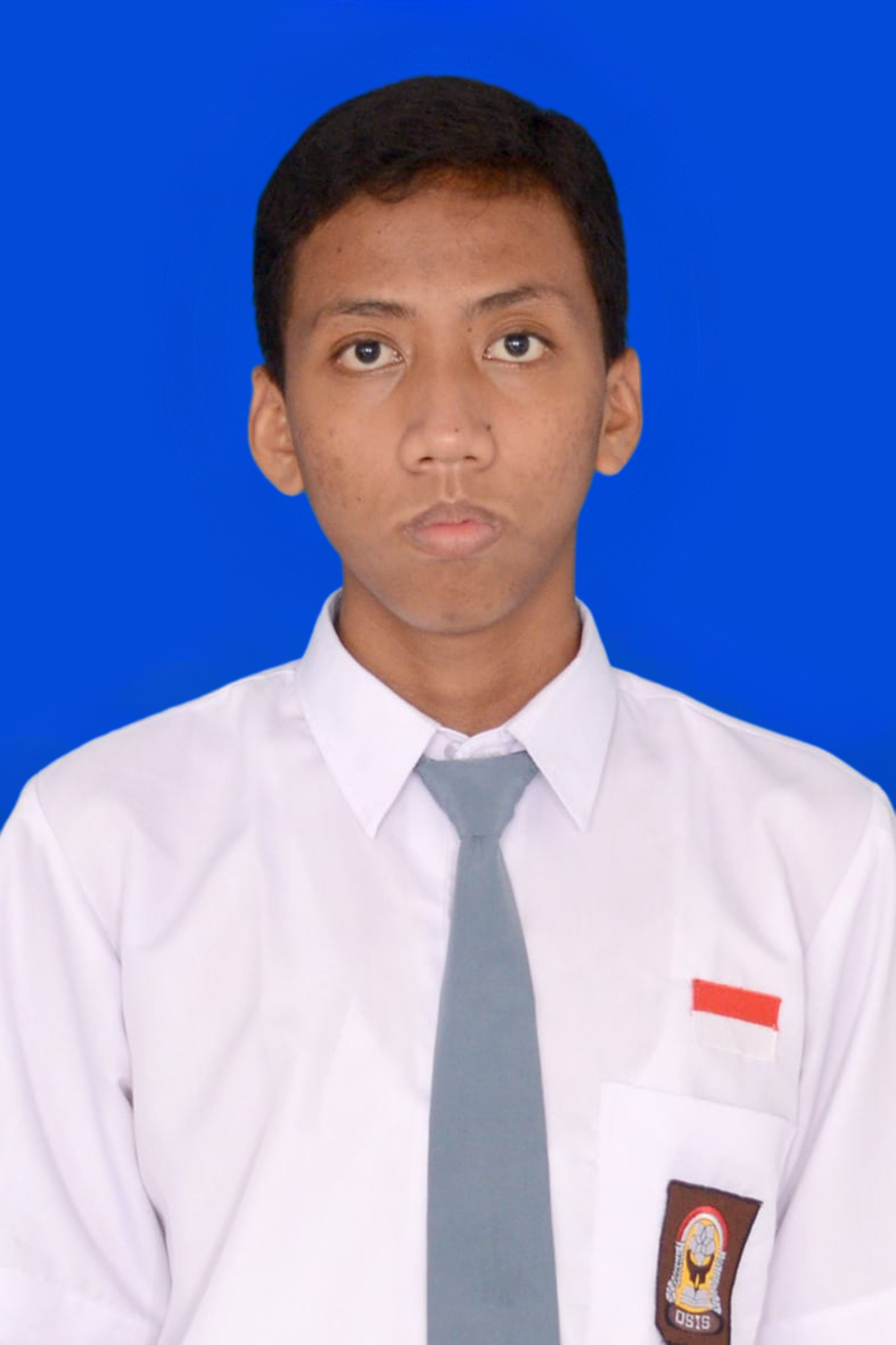 Homepage [nathanieltee.github.io]